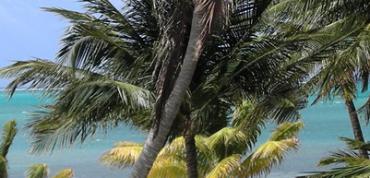 Learn and Study Spanish in Belize | LanguageBookings